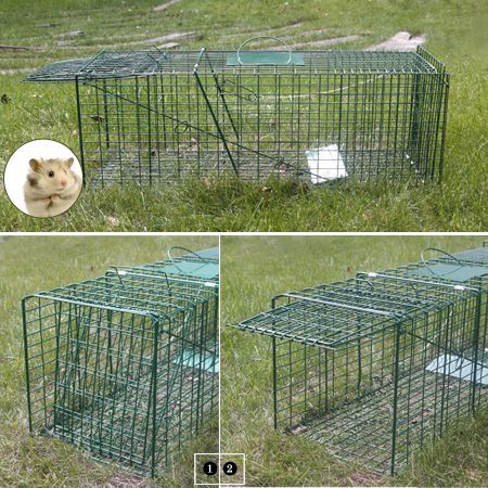Extra Large Humane Live Animal Trap | Crazy Sales