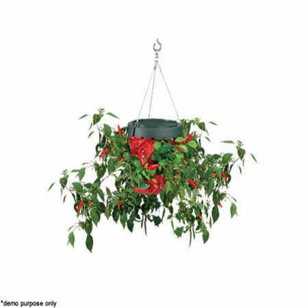 Hanging Chilli / Hot Pepper Planter Upside Down Plant Fixture