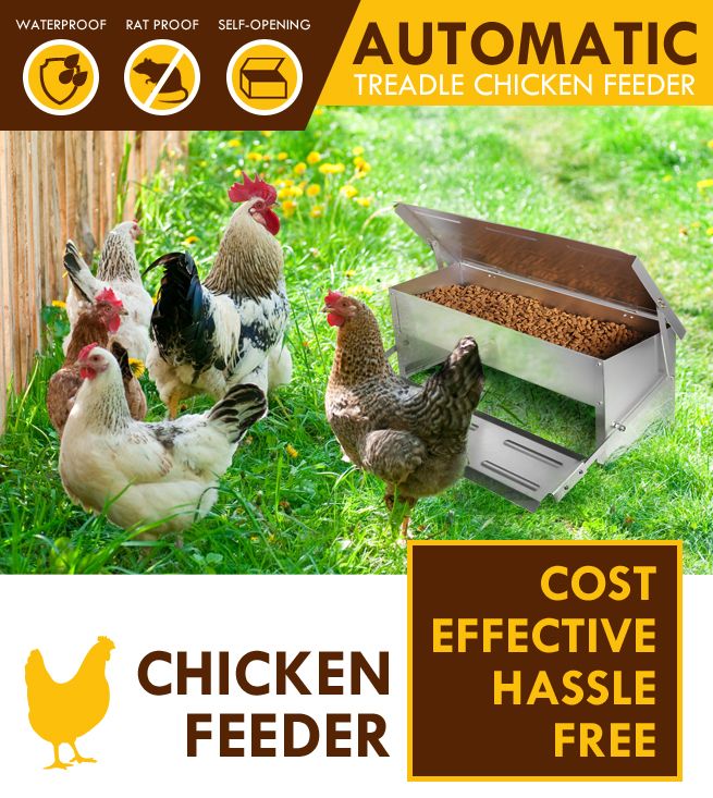 DIY Durable Rustproof Aluminium Auto Chicken Feeder | Crazy Sales