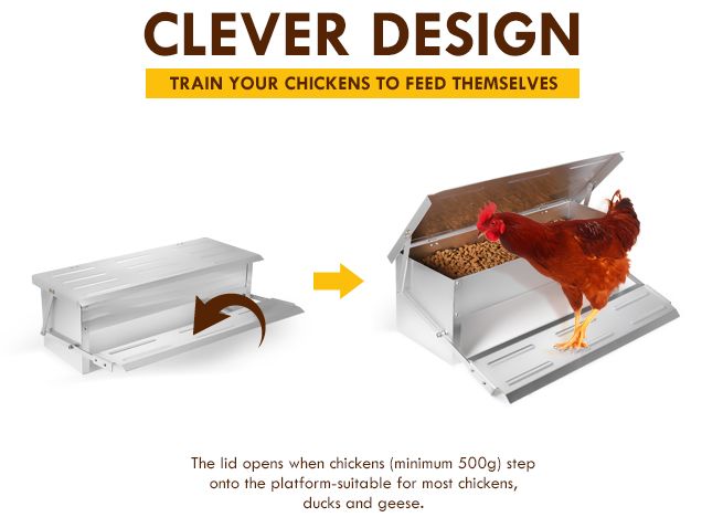 XL Size Durable Rustproof Aluminium Auto Chicken Feeder | Crazy Sales