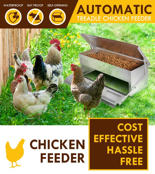 8.2L Automatic Chicken Feeder Poultry Chook Treadle Feeding Trough ...