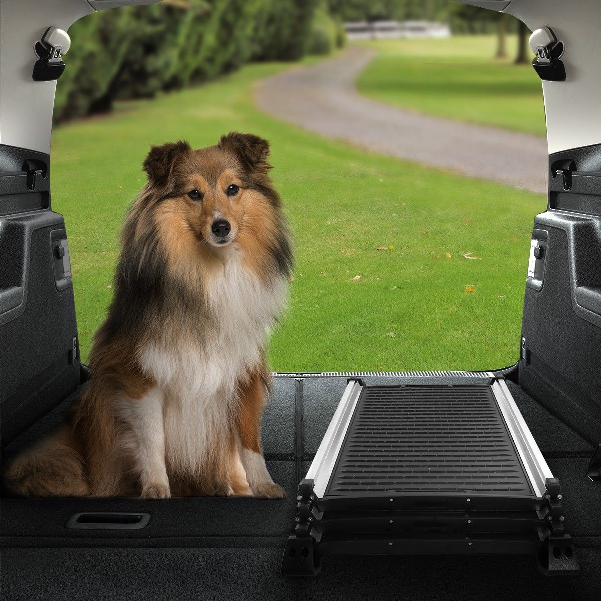 Petscene Deluxe Telescoping Aluminum Dog Car Ramp Portable Pet Ladder ...