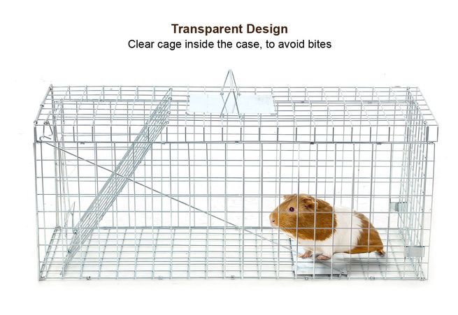 Extra Large Humane Live Animal Trap Cage Possum Cat Dog Rabbit Fox ...