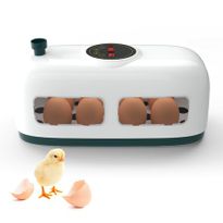 Egg Incubator Australia for Sale | Buy Chicken Brooder Box for Hatching