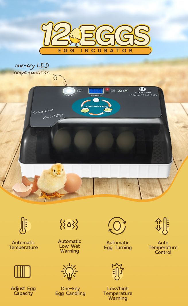 12 Egg Incubator Auto Egg Turning Digital Chicken Goose Duck Quail Eggs ...