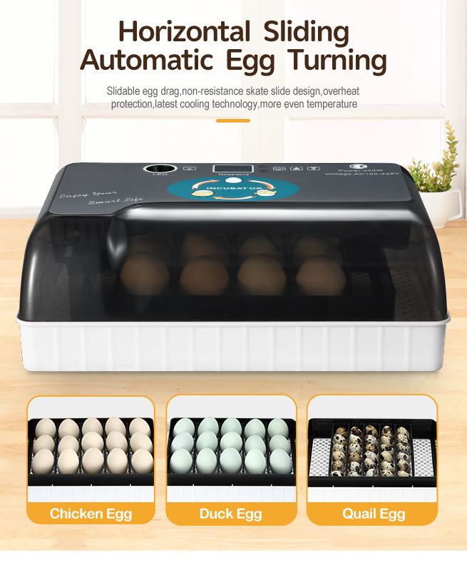 12 Egg Incubator Auto Egg Turning Digital Chicken Goose Duck Quail Eggs ...