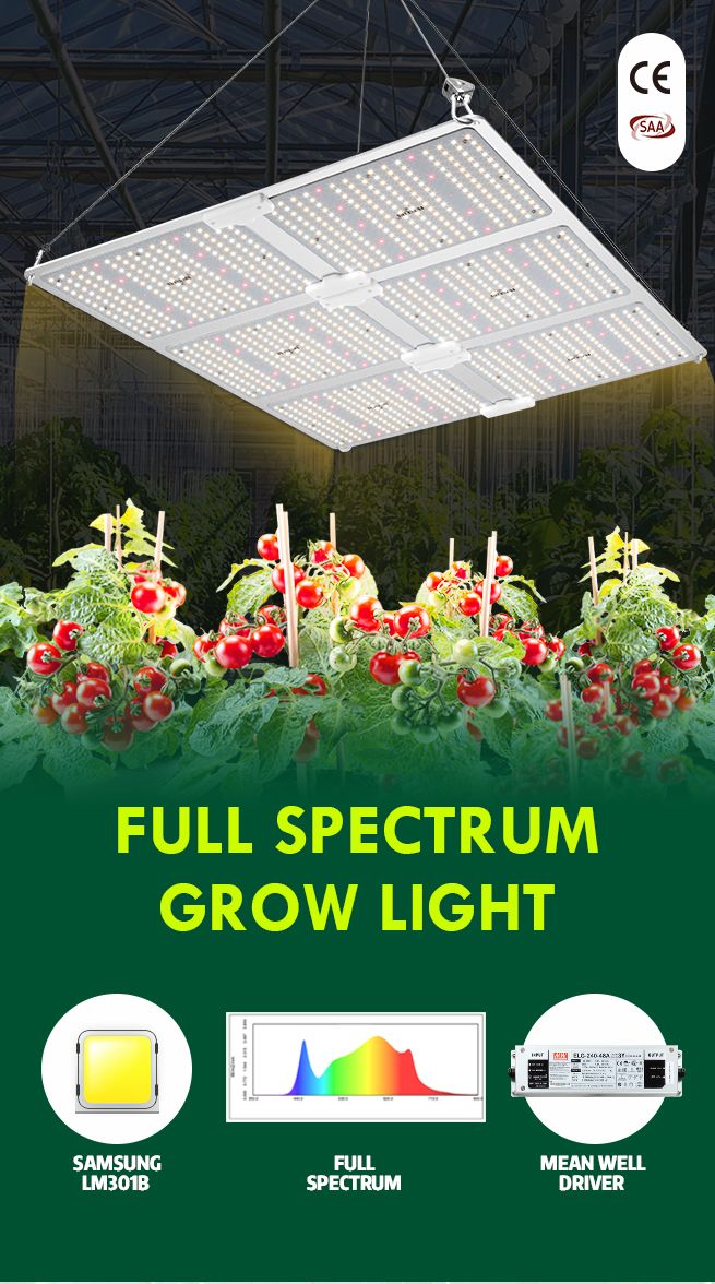 6000W Full Spectrum LED Plant Grow Light Samsung LM301B Growing Lamp ...
