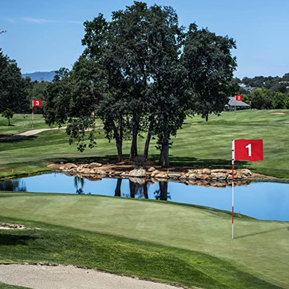 Golf Flagsticks Pro, Putting Green Flags Hole Cup Set, All 6 Feet, Golf ...