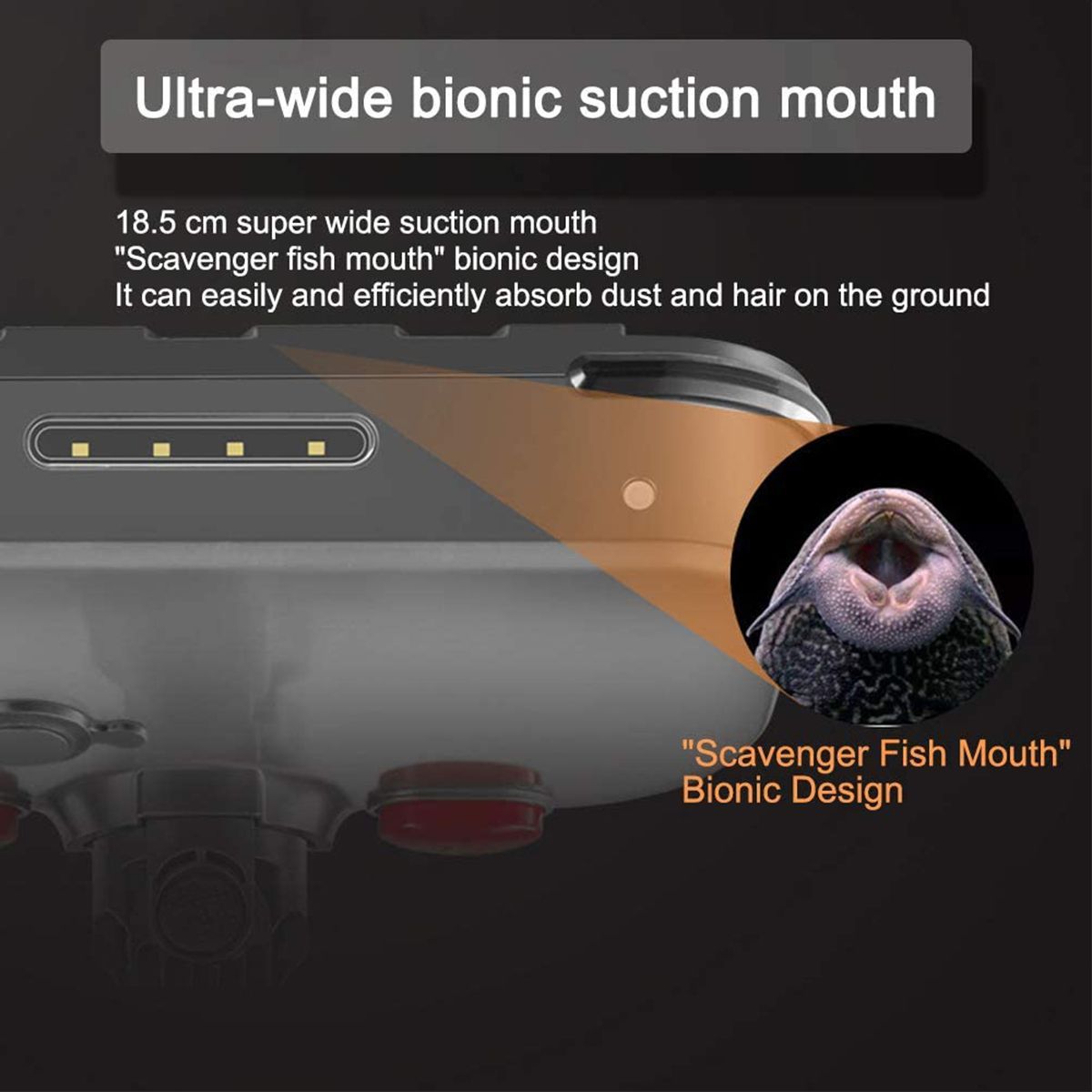 Wet Dry Suction Mop Head and Floor Brush Fit for DysonV7V8V10V11 Vacuum ...