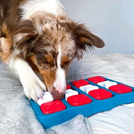 Pet Interactive Puzzle Game Dog Brick Toys