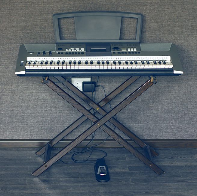 Universal Sustain Pedal for Electronic Keyboard Piano Organ Synth ...