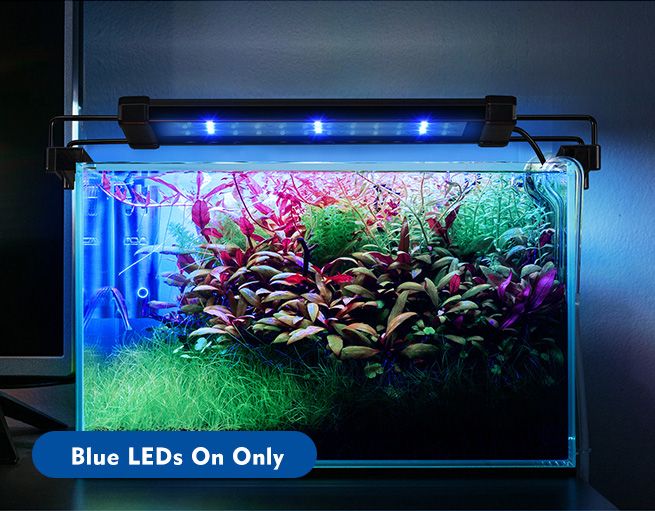 Colourful Aquarium LED Light Fish Tank Lighting Fixture for 30-50cm ...