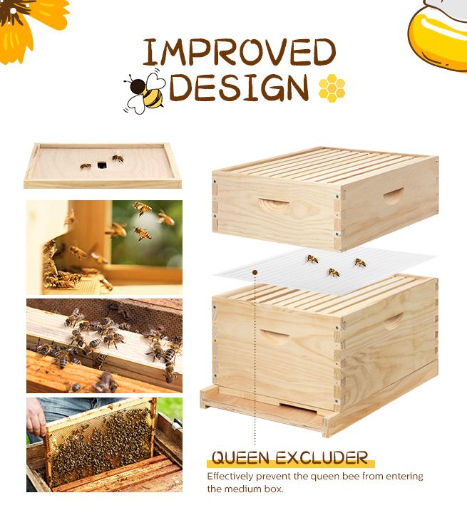 2 Layers Honey Bee Hive Box Beehive Kit Beekeeping Starter Set Backyard ...