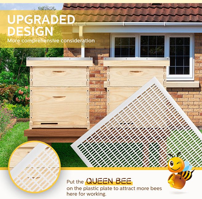 2 Layers Honey Bee Hive Box Beehive Kit Beekeeping Starter Set Backyard ...