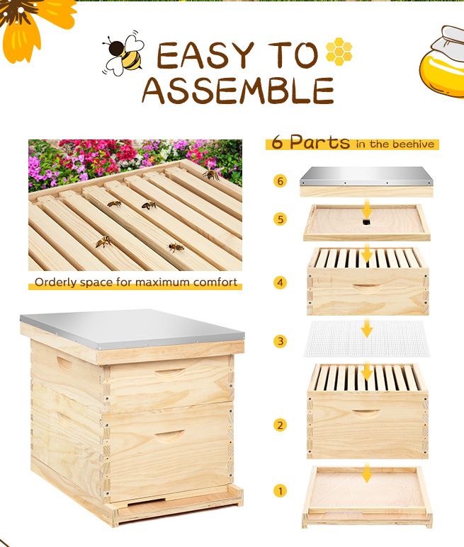 2 Layers Honey Bee Hive Box Beehive Kit Beekeeping Starter Set Backyard ...