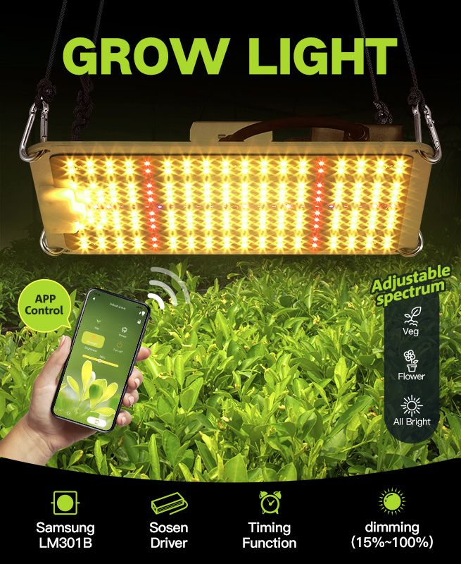 1000W LED Grow Light for Indoor Plants Full Spectrum Wireless Remote ...