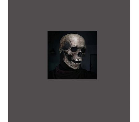 Halloween Full Head Skull Mask with Moving Jaw, Human Skull Face Mask ...