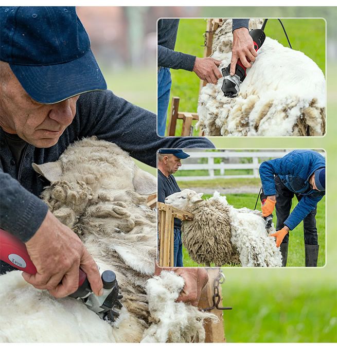 2800RPM Electric Sheep Wool Shear Clipper Livestock Hair Grooming Kit ...