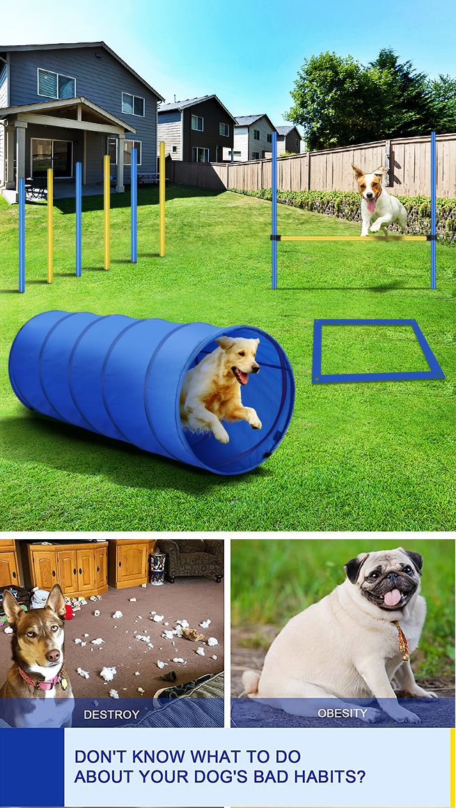 Pawise Dog Agility Equipment Set 28 PCS Pet Obstacle Training Course ...