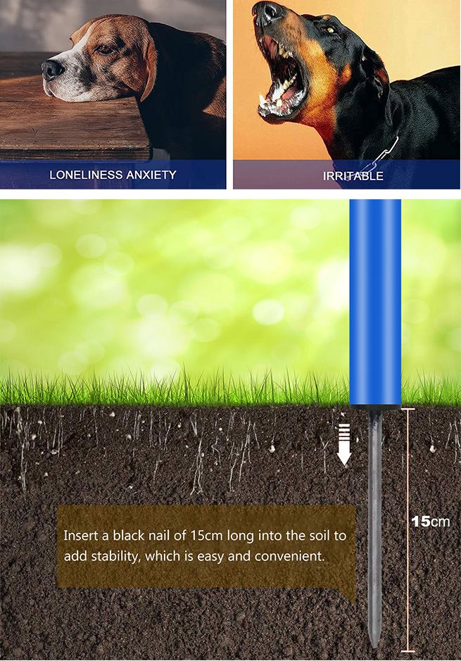 Pawise Dog Agility Equipment Set 28 PCS Pet Obstacle Training Course ...