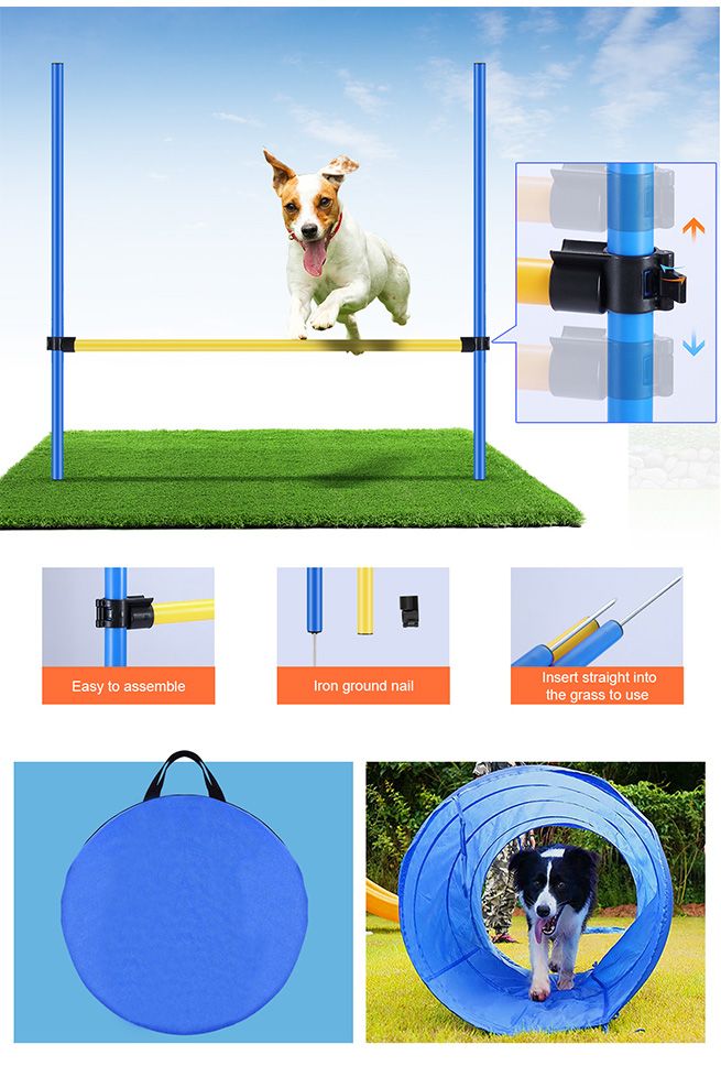 Pawise Dog Agility Equipment Set 28 PCS Pet Obstacle Training Course ...