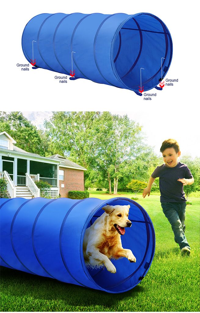 Pawise Dog Agility Equipment Set 28 PCS Pet Obstacle Training Course ...
