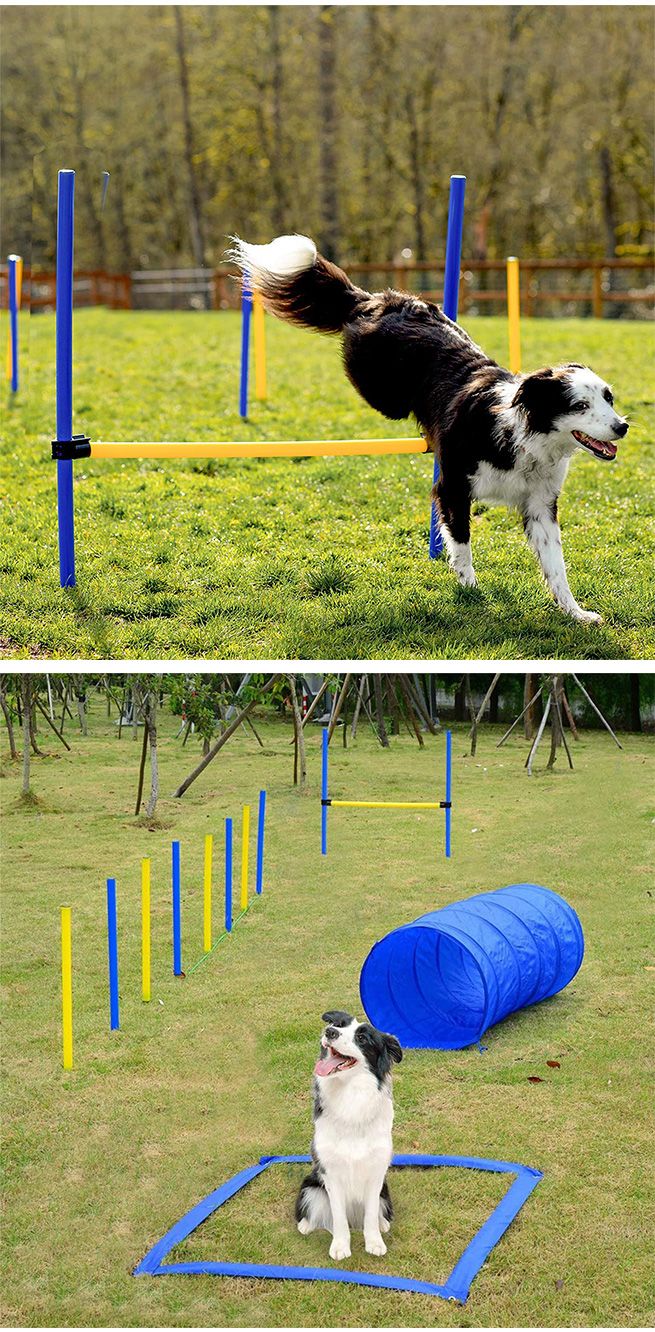 Pawise Dog Agility Equipment Set 28 PCS Pet Obstacle Training Course ...