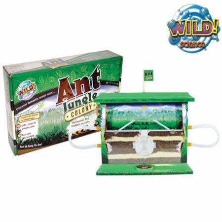 Wild Science Ant Jungle Colony DIY Experiment Kit