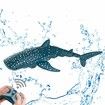 Remote Control Shark Toy with LED Light, Rechargeable Electric Toy RC ...