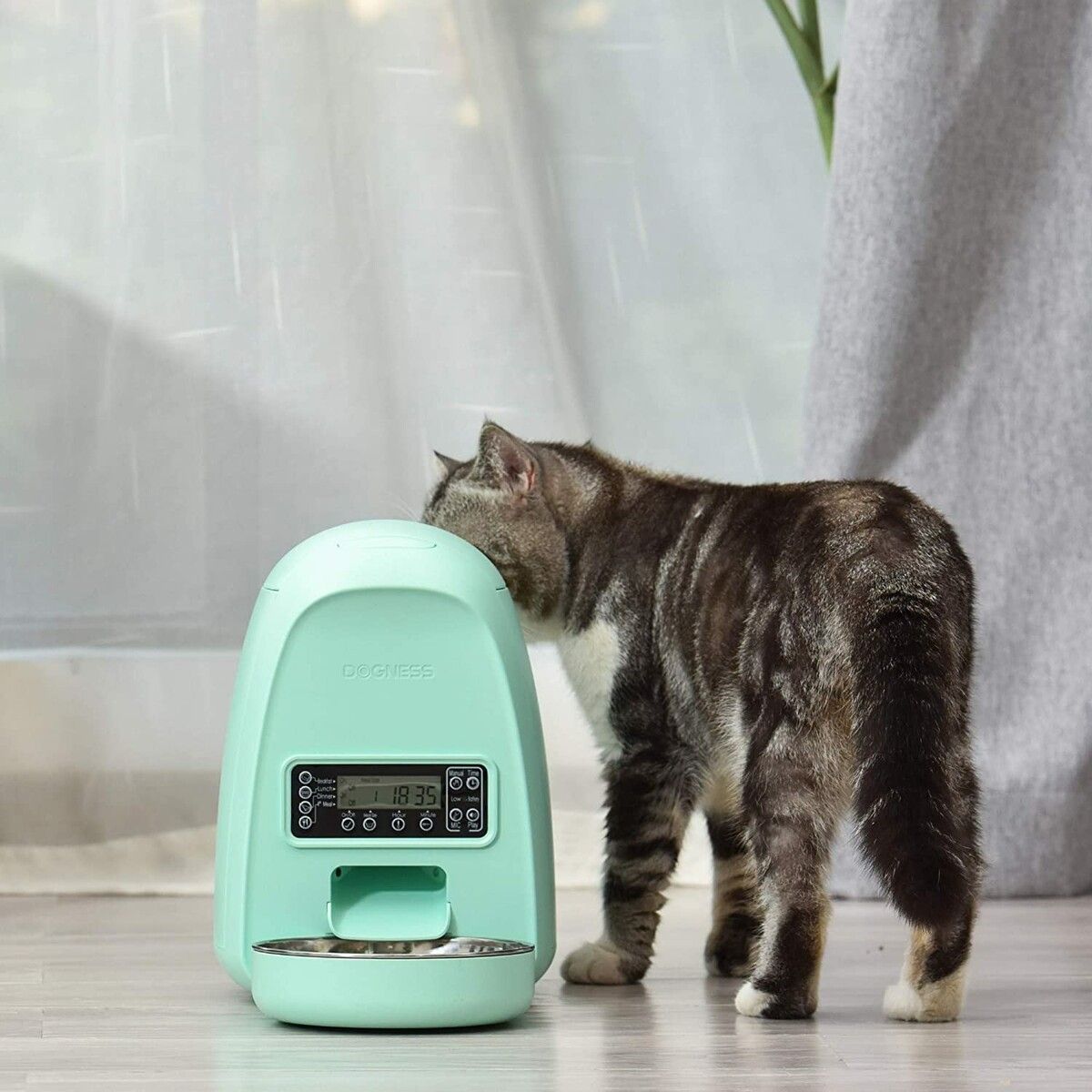 2 Liter Automatic Cat Feeder,Programmable Automatic Feeder with Timer ...
