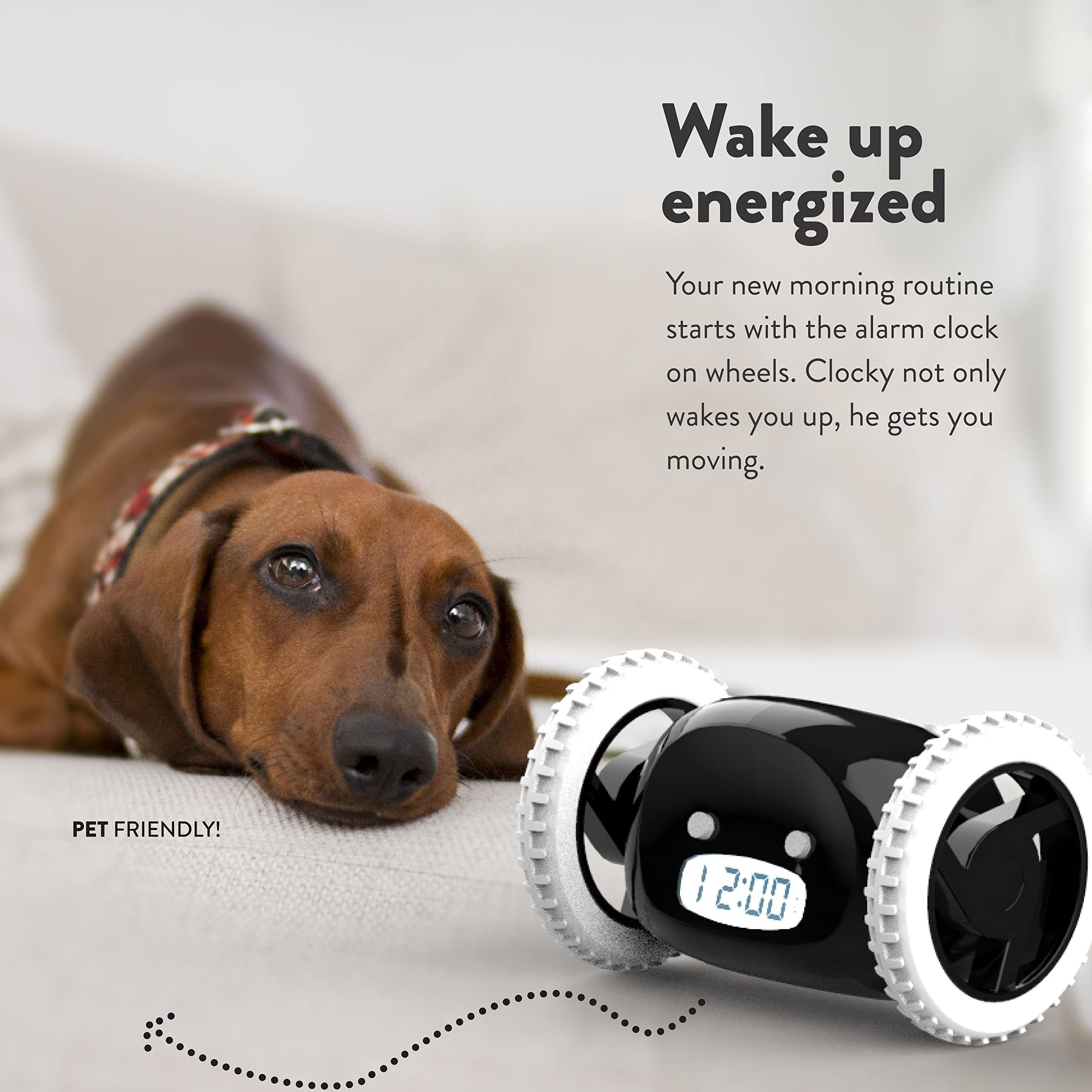 Run-Away Alarm Clock on Wheels (Authentic)Extra Loud for Heavy Sleeper ...