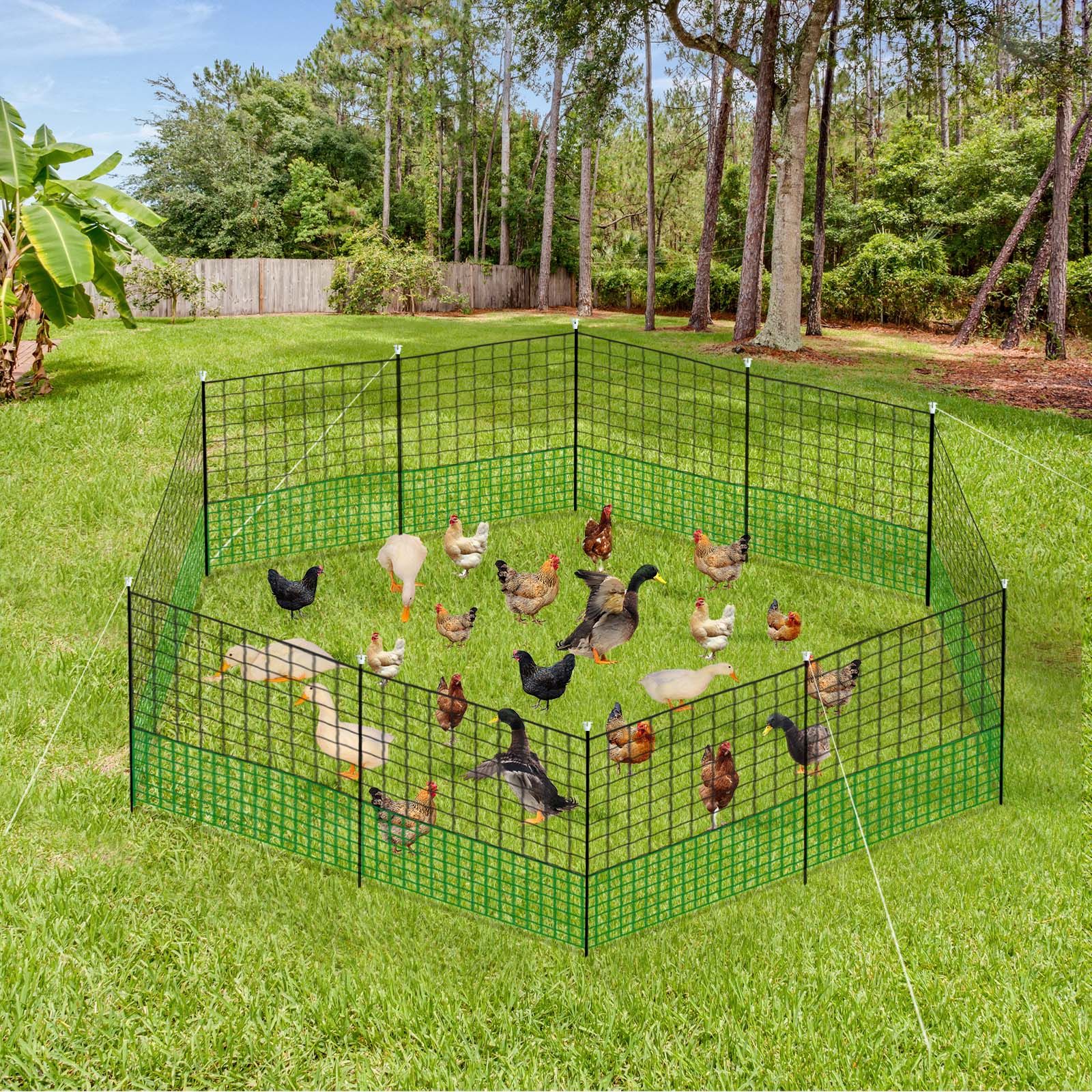 Chicken Coop Run Pen Cage Hen Chook House Fence Enclosure Poultry Mesh ...