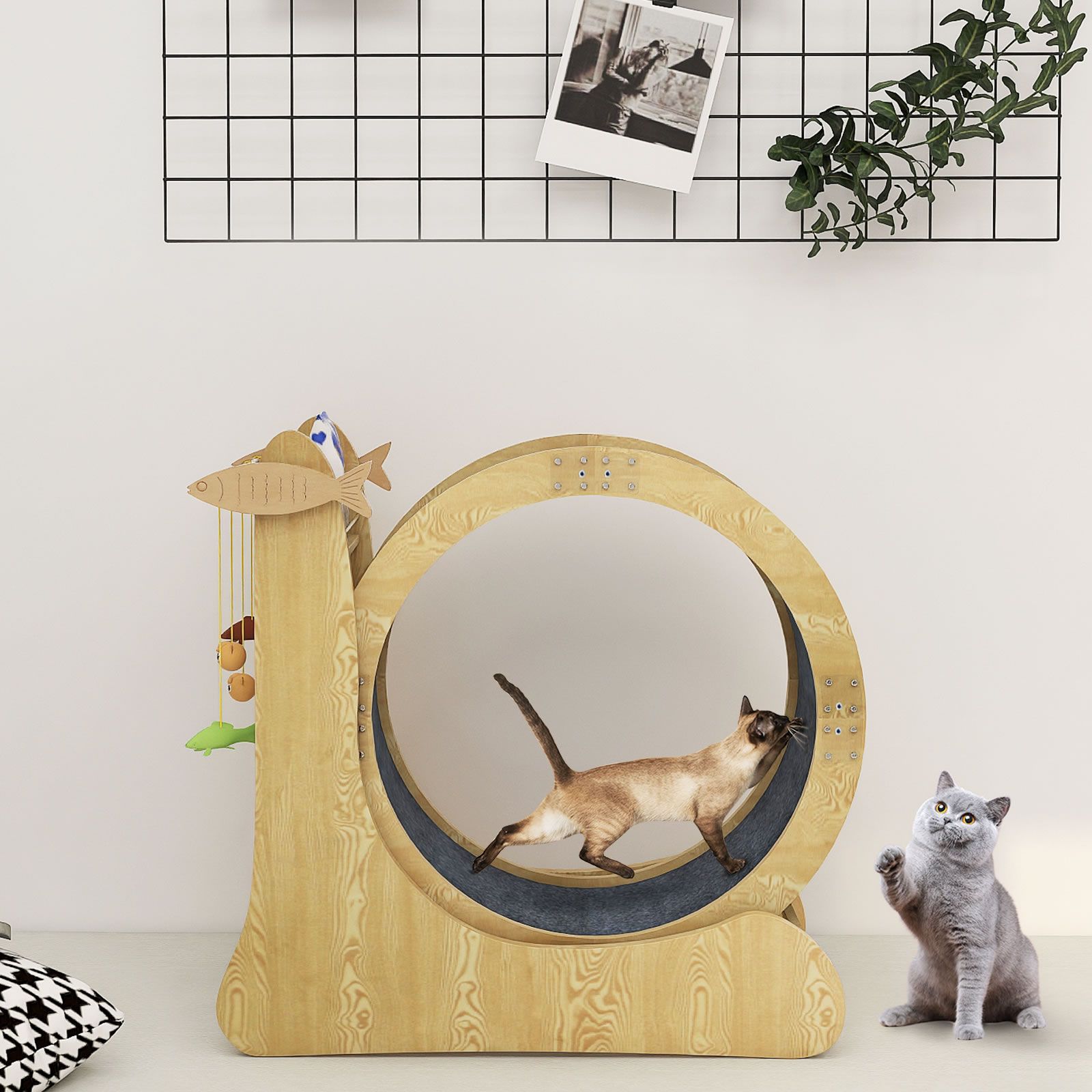 Cat Exercise Wheel Toy Running Exerciser Treadmill Furniture Scratcher ...