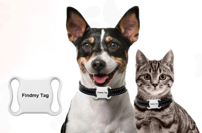 Find my tag Tracker for Pets,Cats?Dogs Remote Finder Anti Lost Item ...