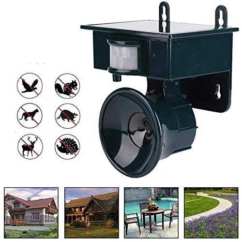 Solar Powered Outdoor Ultrasonic Pest Bird Crow Animal Repeller ...