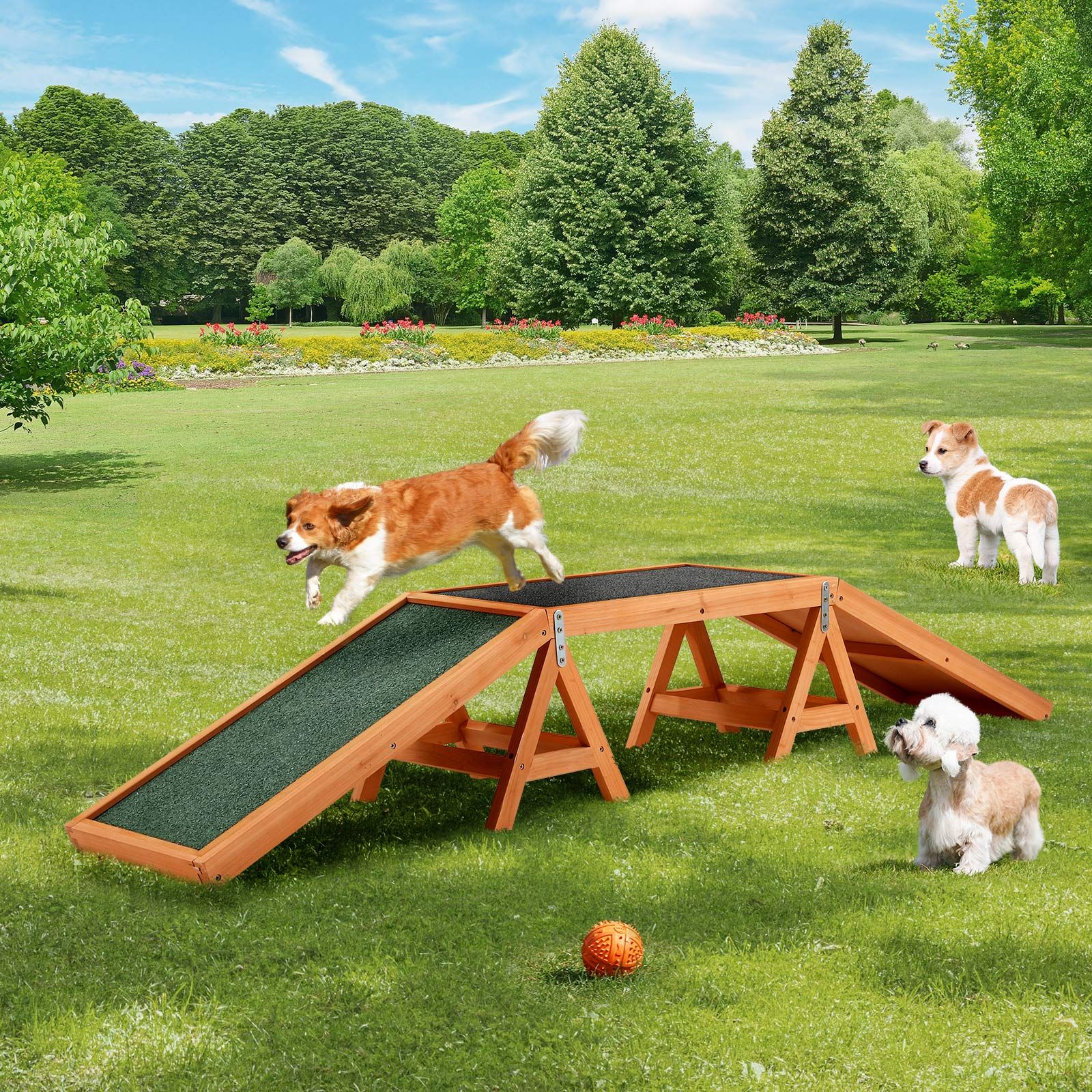 Dog Agility Ramp Toy Pet Obedience Training Equipment Obstacle Course ...