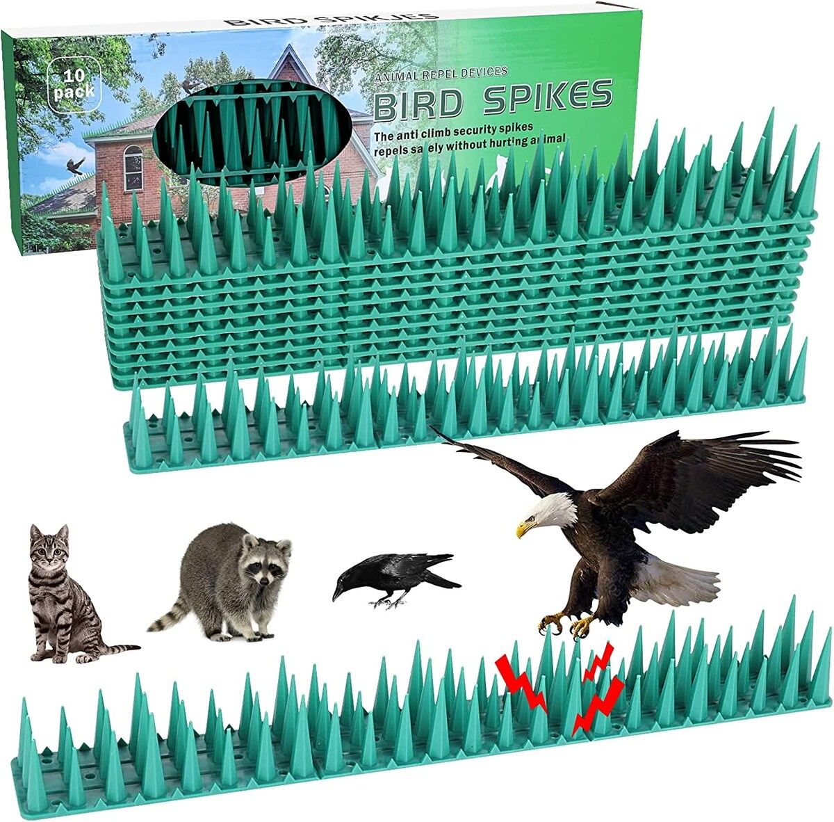 Bird Spikes,10 Pack Plastic Squirrel Raccoon Pigeon Cat Animal ...