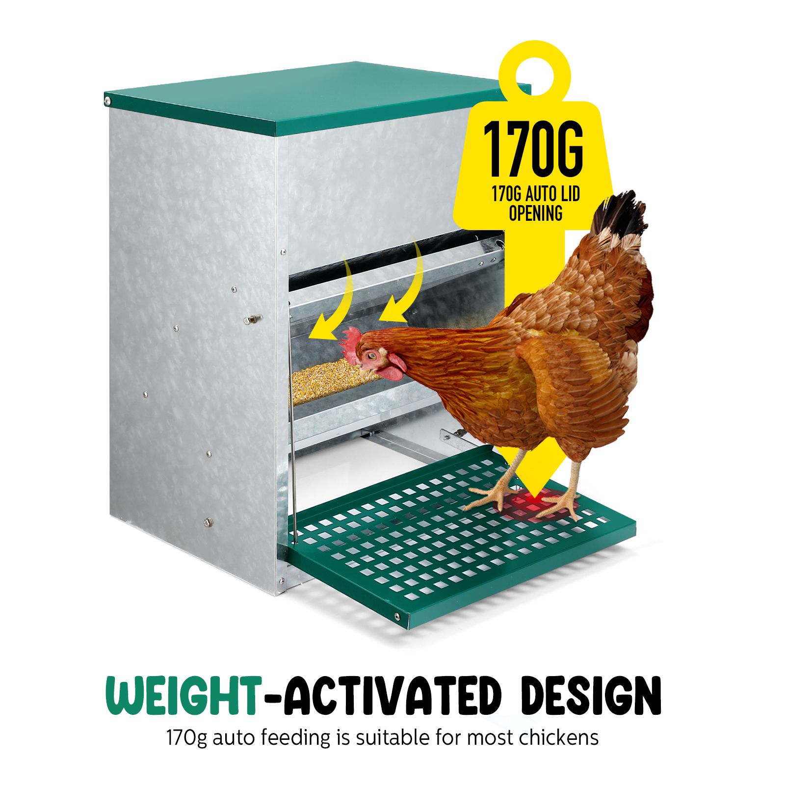 Auto Chicken Feeder 10kg Automatic Treadle Poultry Chook Rat Proof Food ...