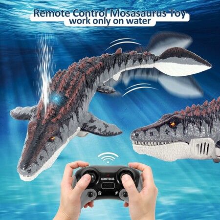 RC Mosasaurus Toys Remote Control Car Water Toy Dino Light Spray Water ...