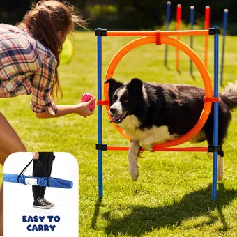 Pet Dog Hurdle Bar Puppy Agility Equipment Interactive Toys Exercise ...