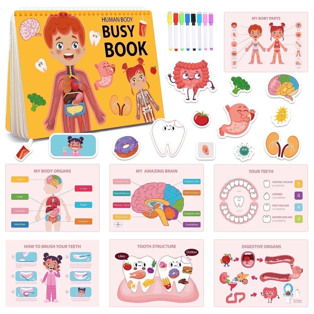 Montessori Busy Book for Kids,Human Body Anatomy Book,Learning ...