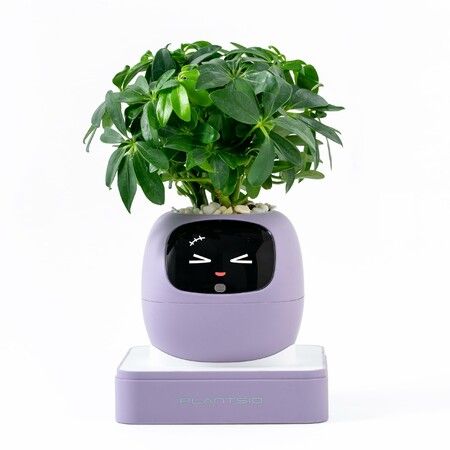 Ivy AI Smart Plant Pot with Emoji Intelligent Planter Robot for ...