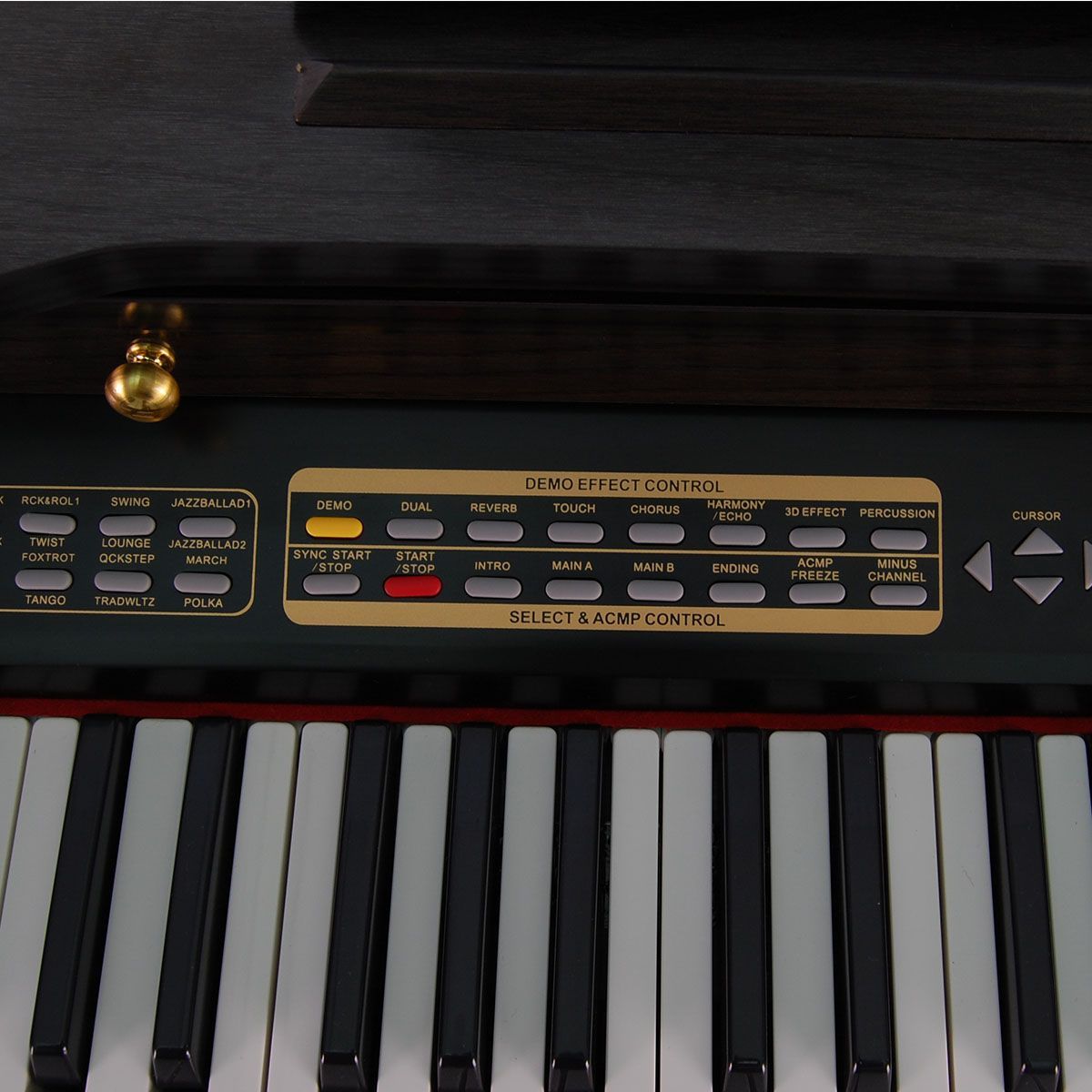 MELODIC 100 Rhythms 88 Standard Touch Response Keys 3 Pedals Digital ...