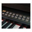 MELODIC 100 Rhythms 88 Standard Weighted Keys(Hammer-Action) 3 Pedals ...