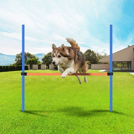 Pet Dog Hurdle Bar Puppy Agility Equipment Interactive Toys Exercise ...