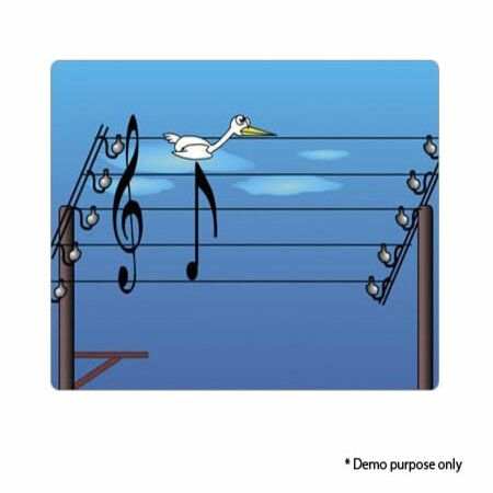 Comfy Easy PC Interactive Learning Keyboard Software - Animal World CD ...