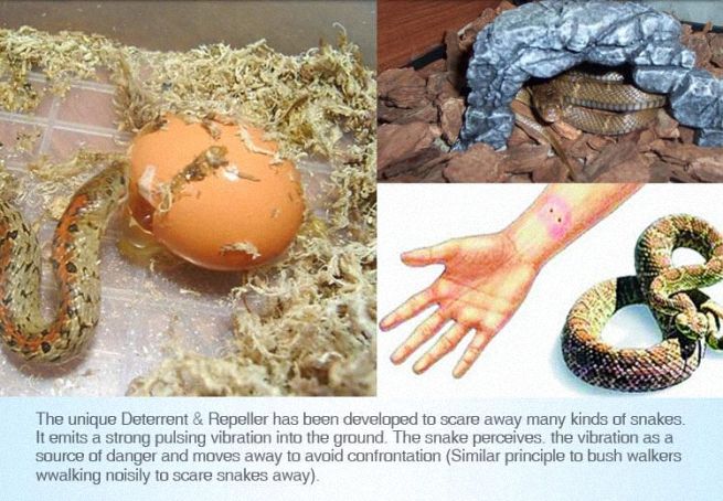 Solar Powered Snake Repellent with LED light | Crazy Sales