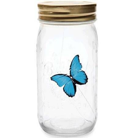Interactive Butterfly in a Jar Toy - My Butterfly Collection - Blue Morpho