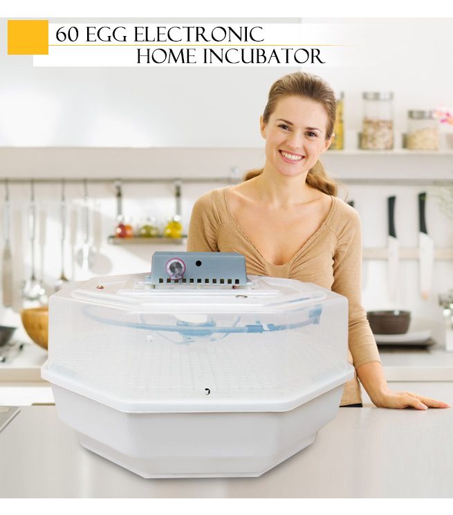 60 Poultry Egg Electronic Incubator | Crazy Sales