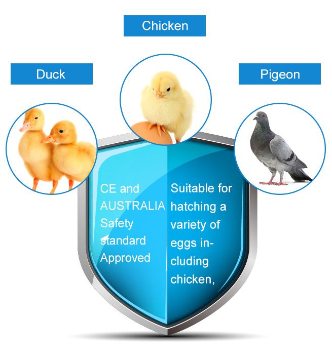 60 Poultry Egg Electronic Incubator | Crazy Sales